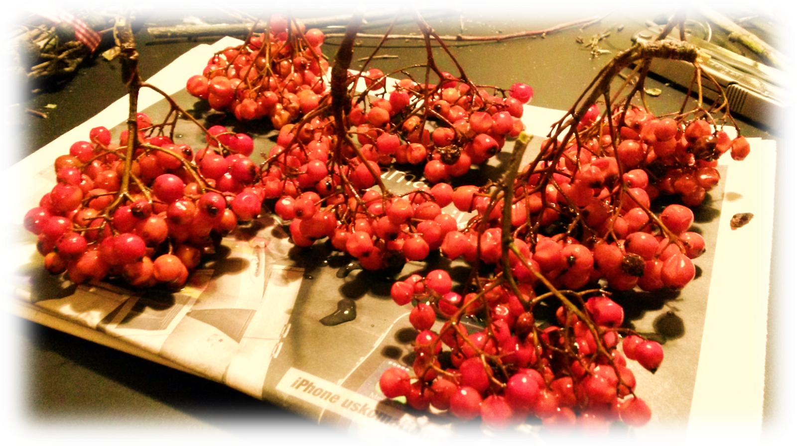 Tonttujen talo: Risuja ja rautalankaa