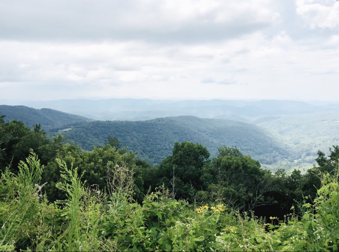 Of Verse, Poesy & Odes : Noon