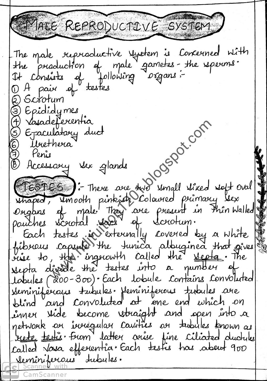 Human Reproduction Handwritten Notes for 12th Biology