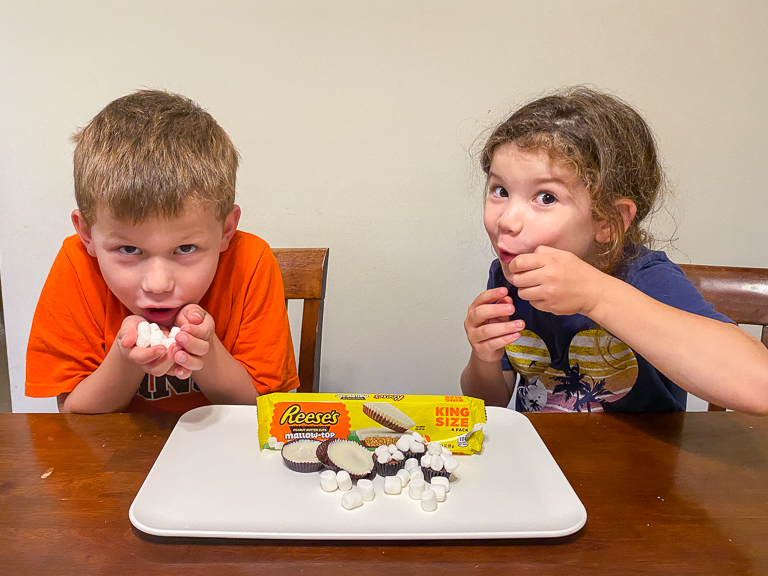Tales of the Flowers: Reese's with Marshmallow Tops - Reese's Peanut ...