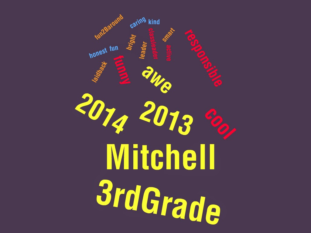 Mrs. Steinbrink's 4th Grade Class!: Mitchell's Word Cloud