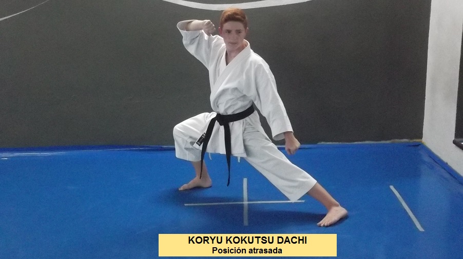 KARATE SHITO RYU ASTURIAS: Posiciones de Karate (Tachi Kata).