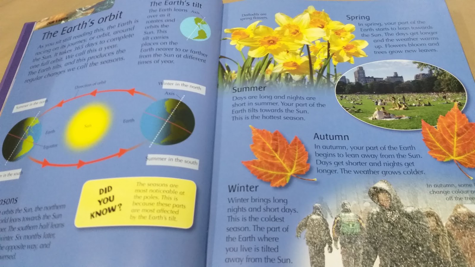 Kid Books Blog: 757.My First Planet Earth Encyclopedia