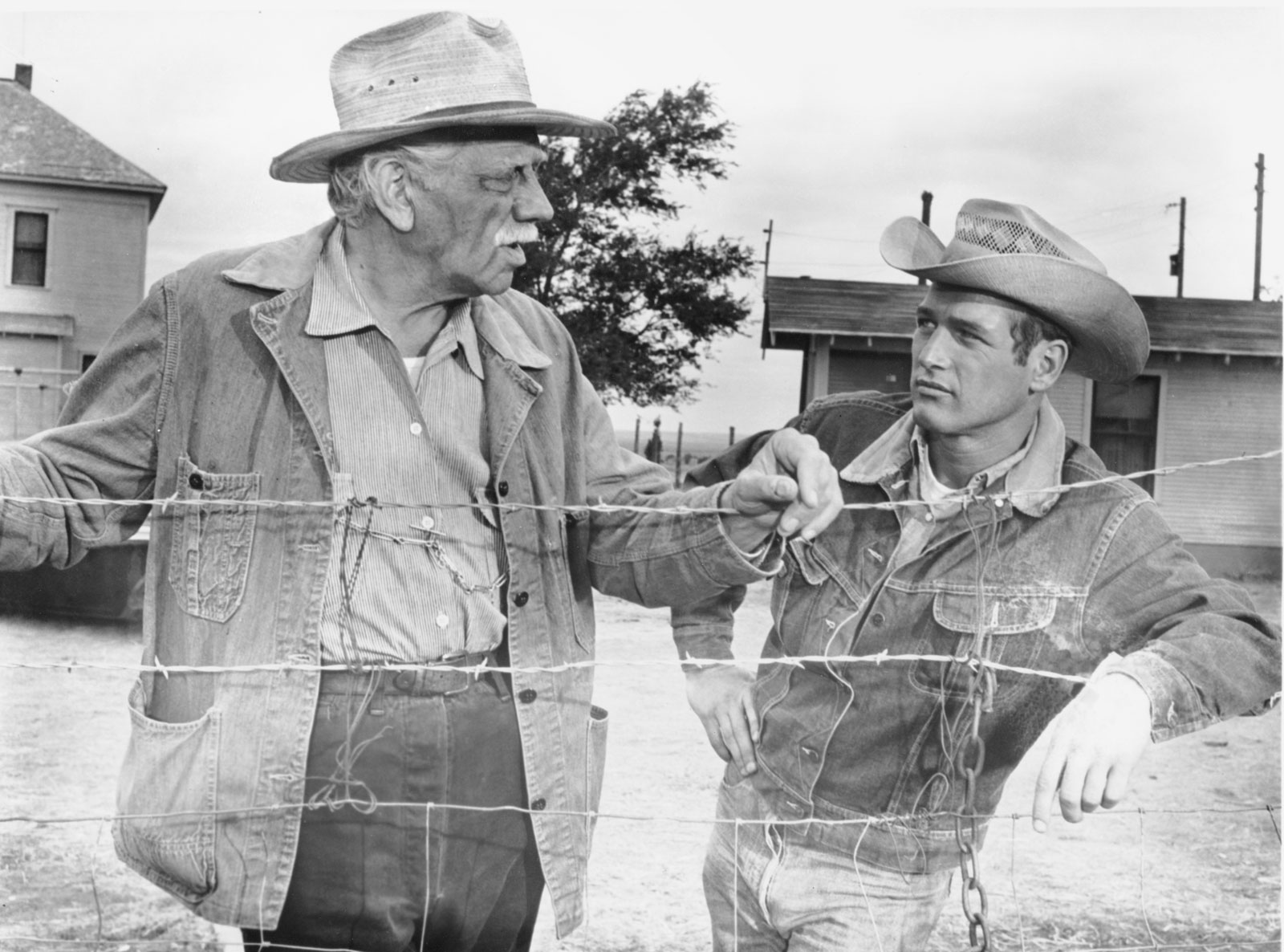 Movie Review: Hud (1963) | The Ace Black Movie Blog