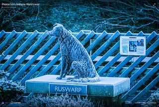 Ruswarp the Story and Sculpture