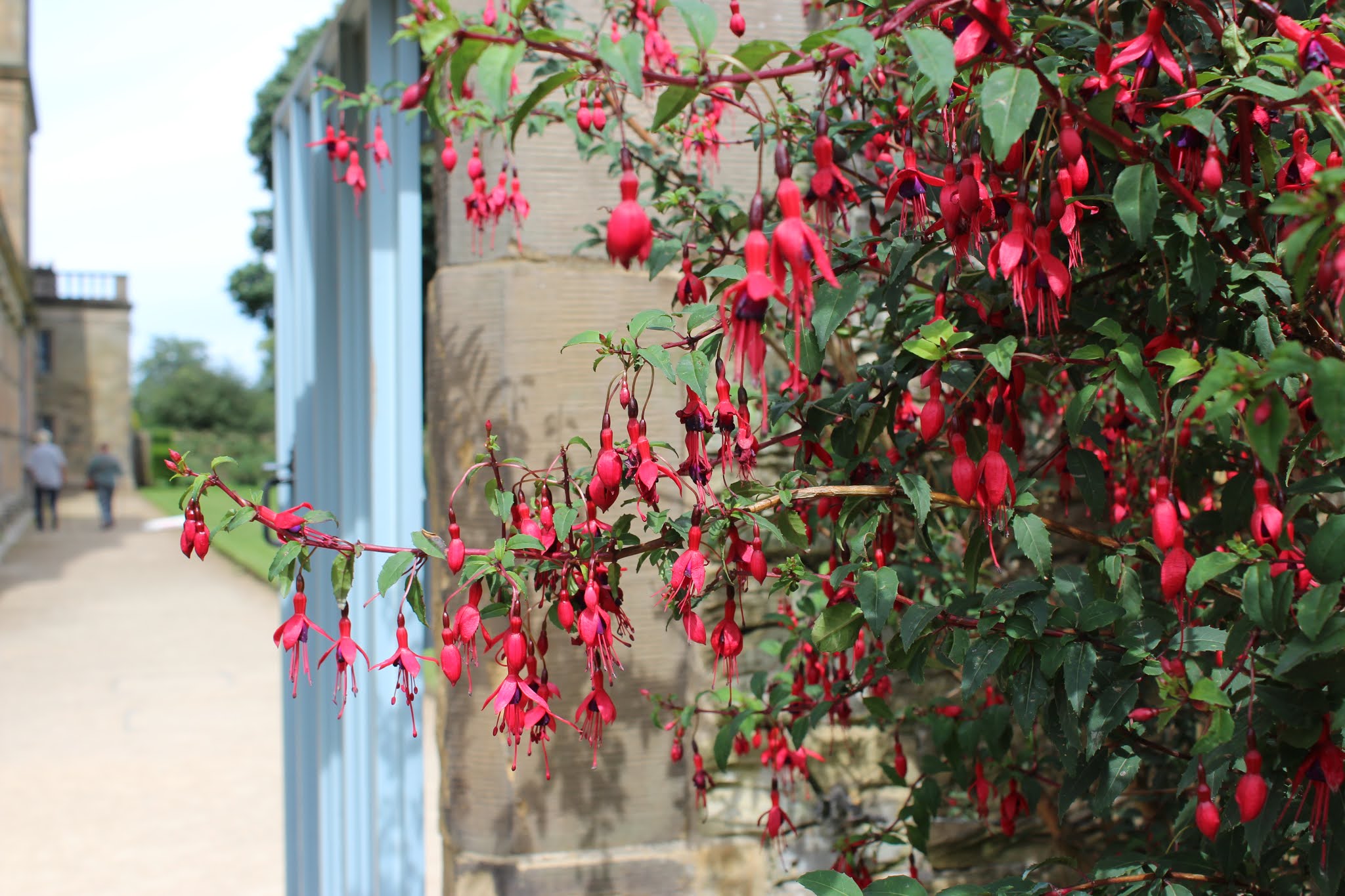 Another National Trust Treasure | Hardwick Hall