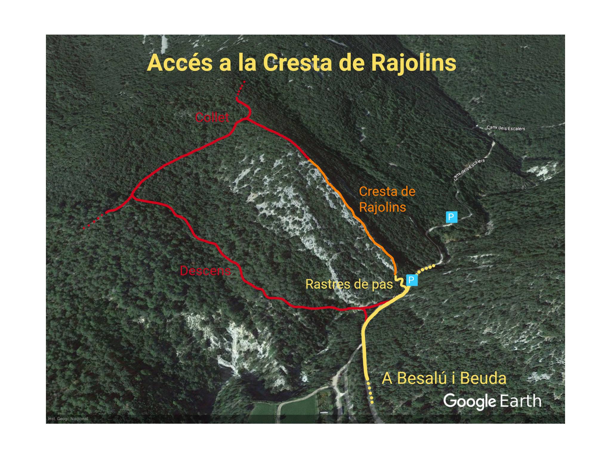 eskalades al ripolles: Simbelmynë
