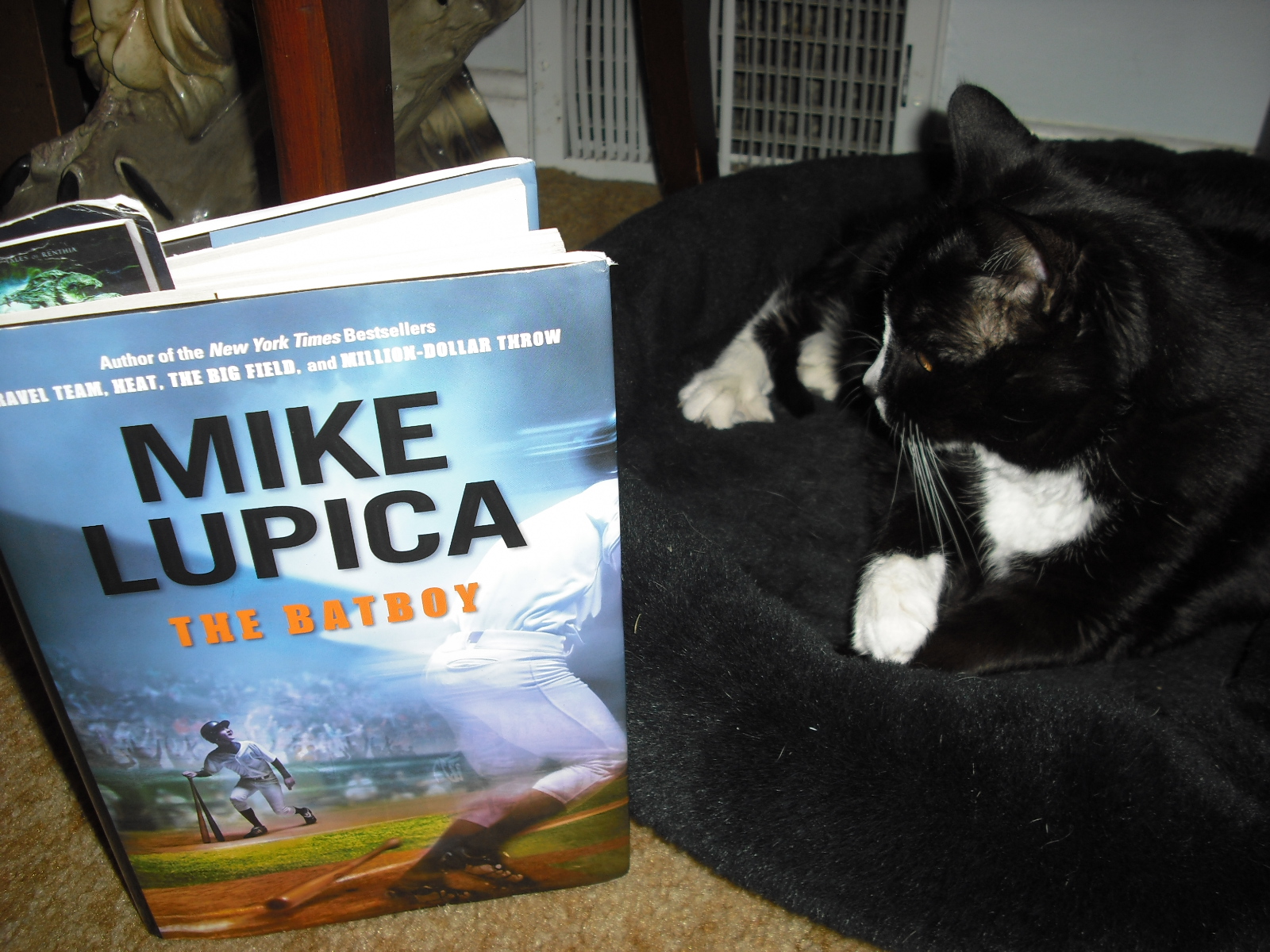 Grab A Book From Our Stack: "The Batboy" by Mike Lupica