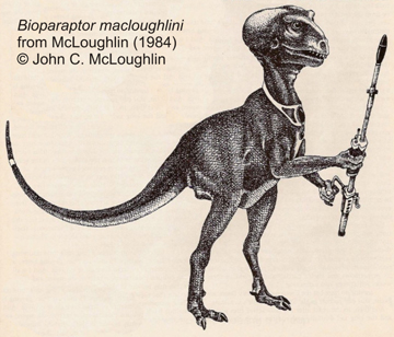 Dinosauroidia: Bioraptor macloughlini