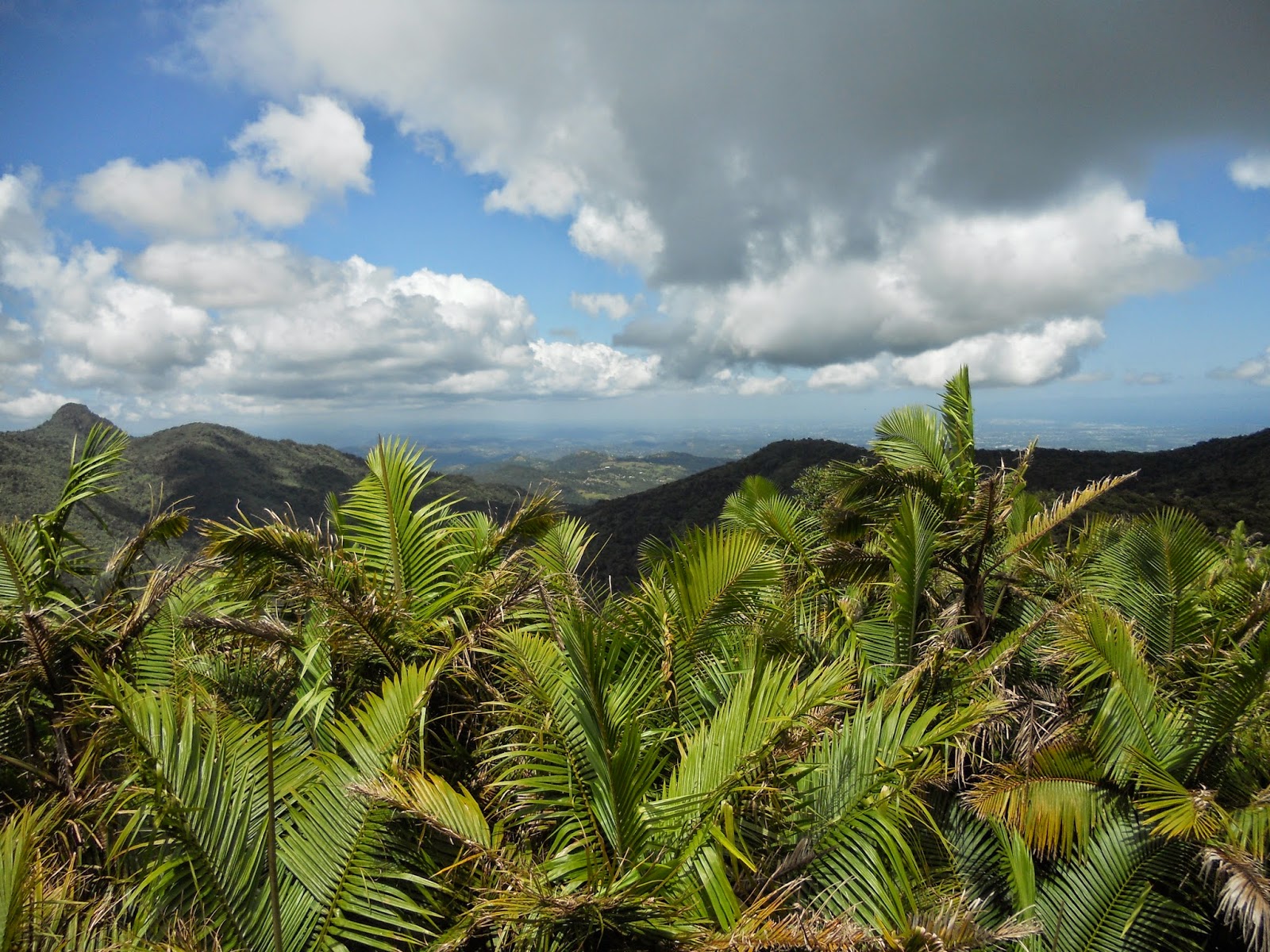 Our Big Adventure: El Yunque National Forest Puerto Rico