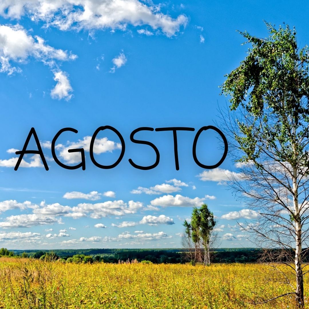 Bem vindo Agosto!