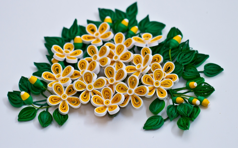 Laurus Cassia: Malaysian Flower bunch.....