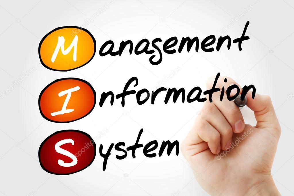 MEANING AND OBJECTIVES OF MIS A SHORT BRIEF meaning-and-objectives-of-mis-a-short-brief