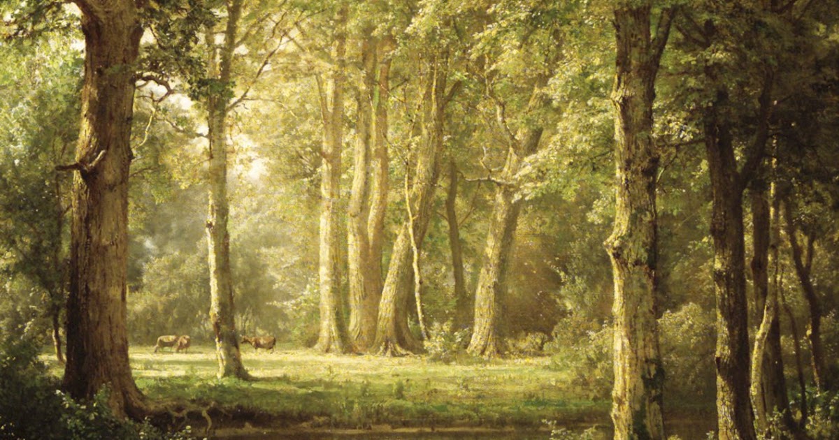 phantsythat: limberlost