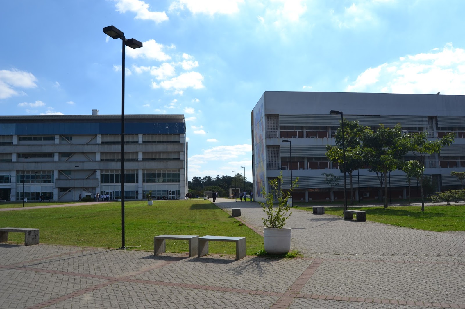 UMinho: Novos Desafios, Novos Rumos: USP - Universidade de S. Paulo ...