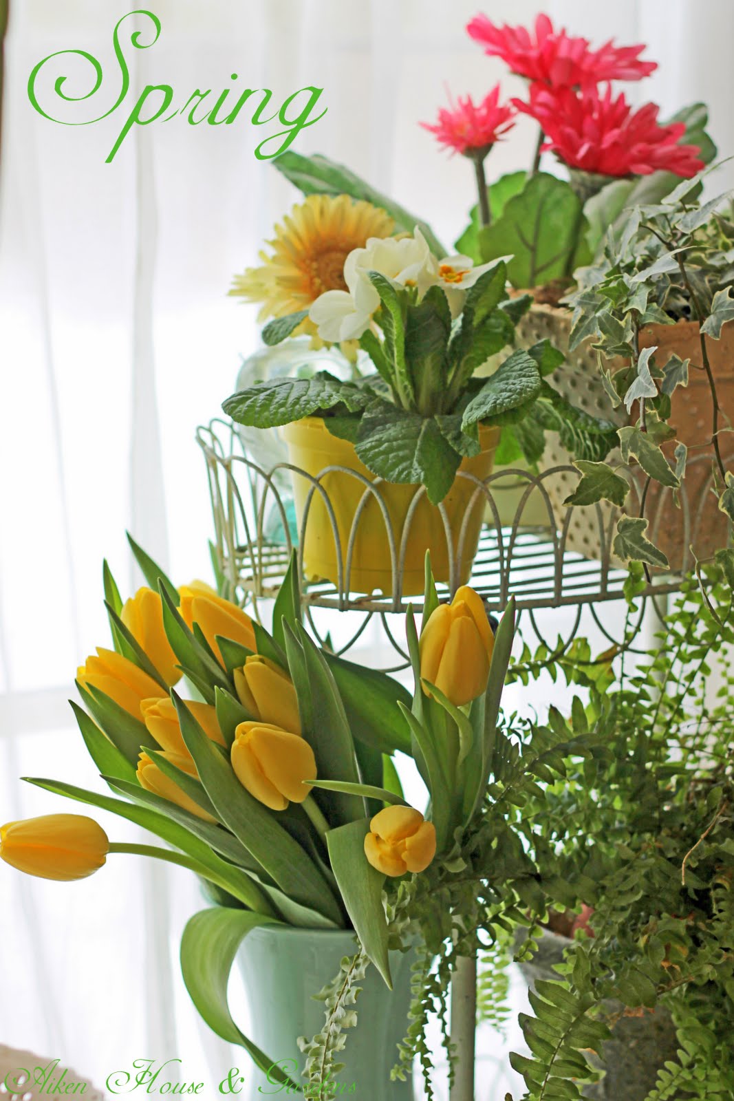 Aiken House & Gardens: Indoor Spring Garden