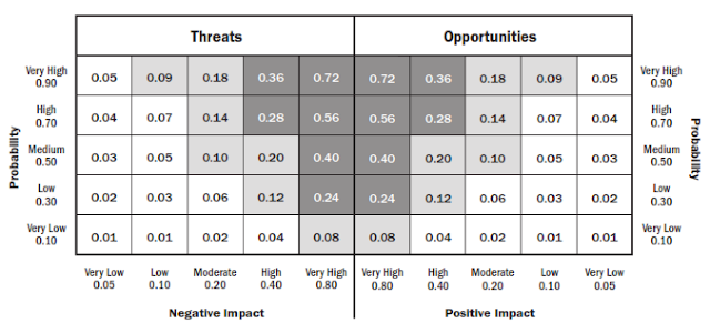 MANAGEMENT YOGI: Practical RMP: How To Create A Butterfly PI Matrix ...