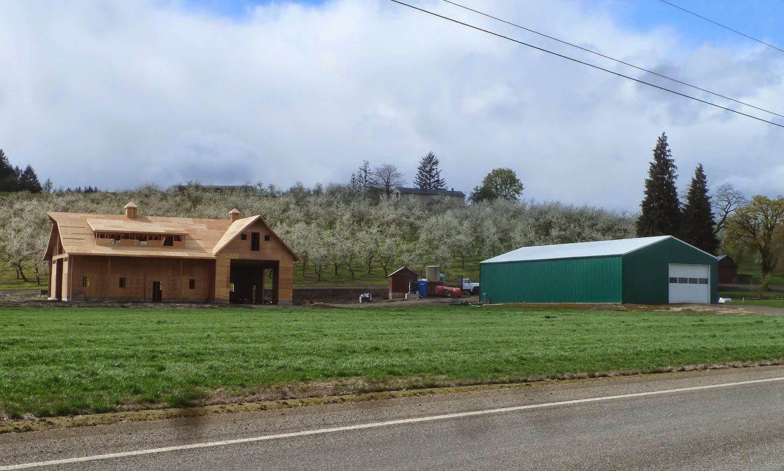 Boulderneigh: Besties, boots, barns, and blooms