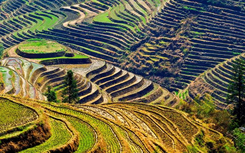 19 pictures of the most beautiful terraces viewed as infatuated