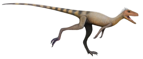 Palaeofauna: An Overview of the Vertebrates of the Lossiemouth ...