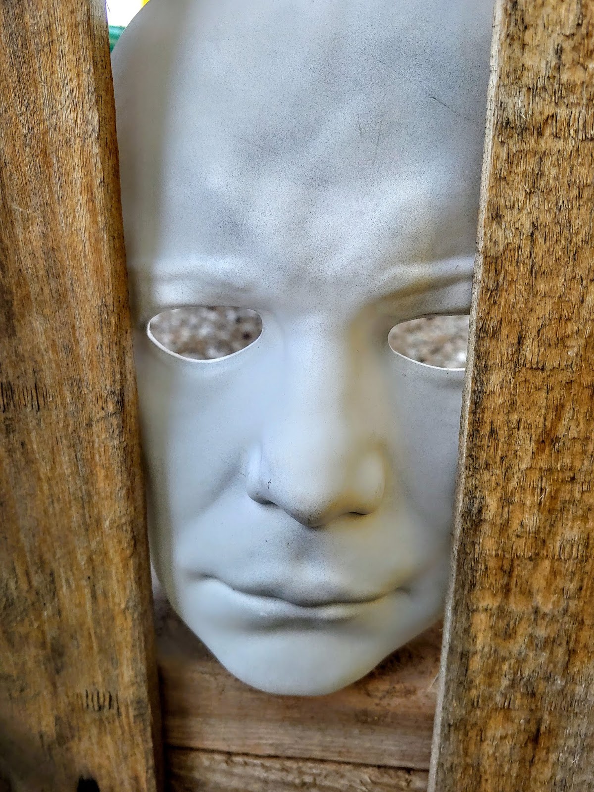 Michael Myers and Jason Voorhees - Mask Photography