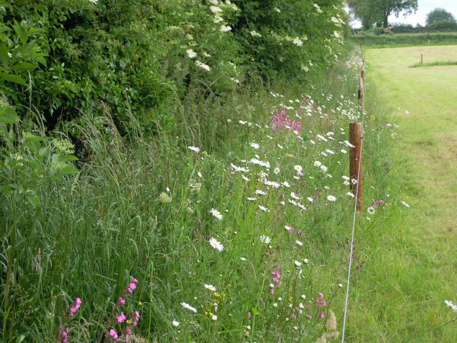 Farmland ecology: The BRIDE project kicks off: results-based payments ...
