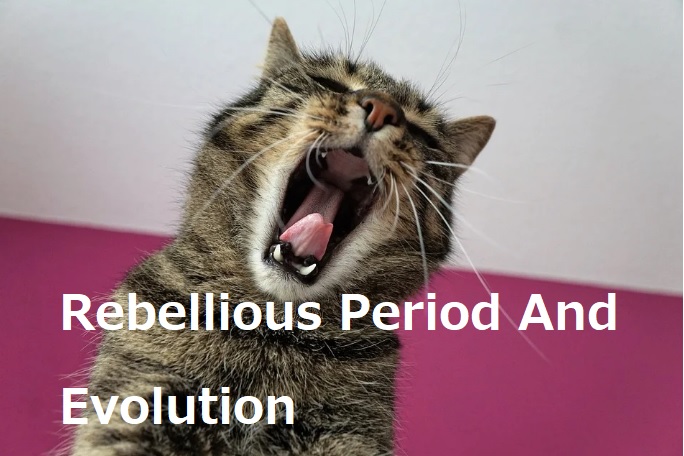 RandomWalkJapan: 反抗期と進化 Rebellious Period And Evolution