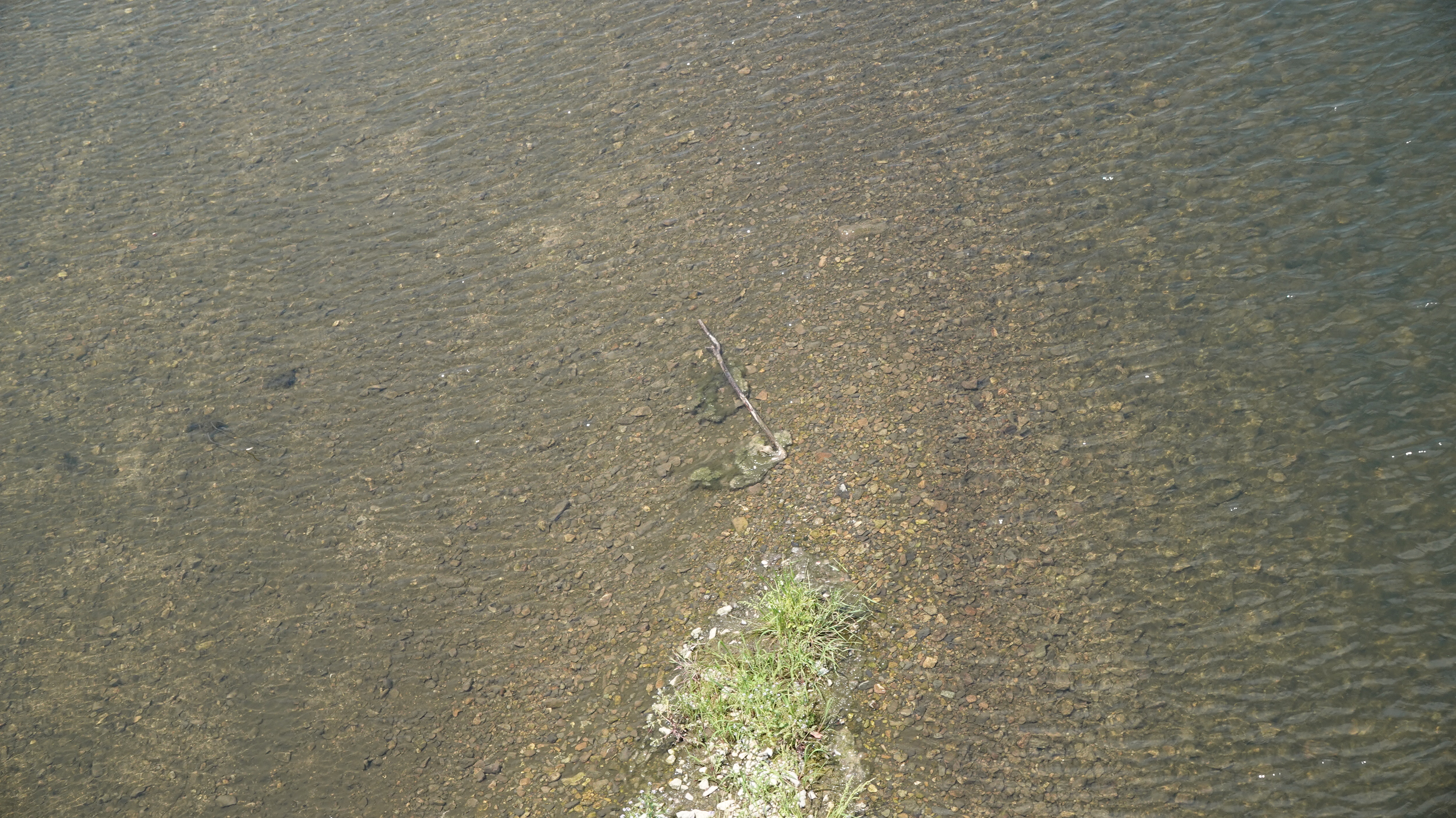 Shall we walk along the Sincheon river trail in Daegu?