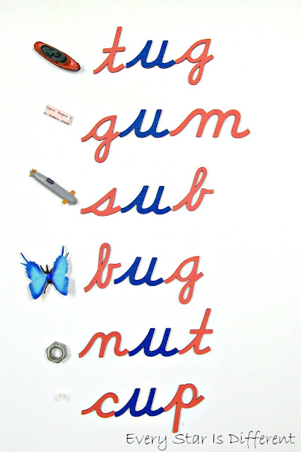 Mammals Unit 2 with Free Printables - Every Star Is Different