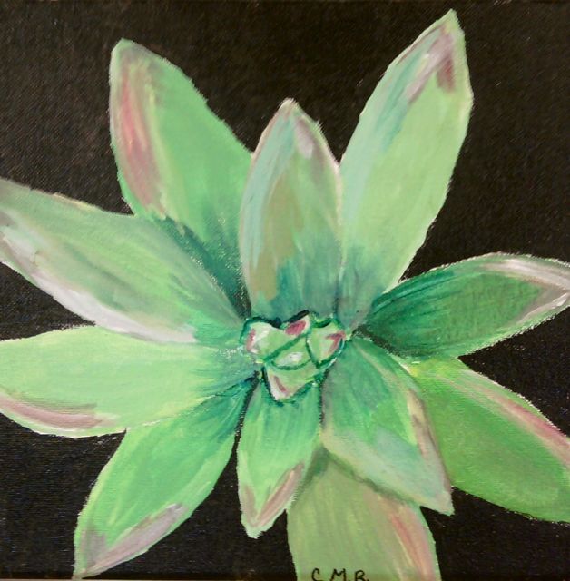 Room 101 Art: Painting Succulent Plants