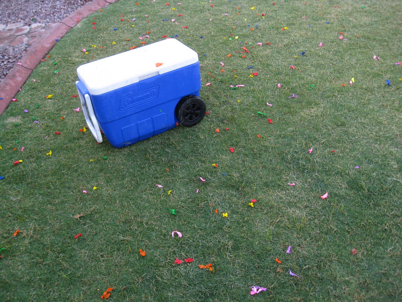 The Munier's page: End of 2nd grade pool party