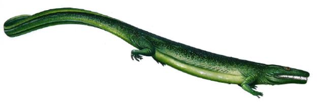 Blog de la Vida Prehistórica: Greererpeton