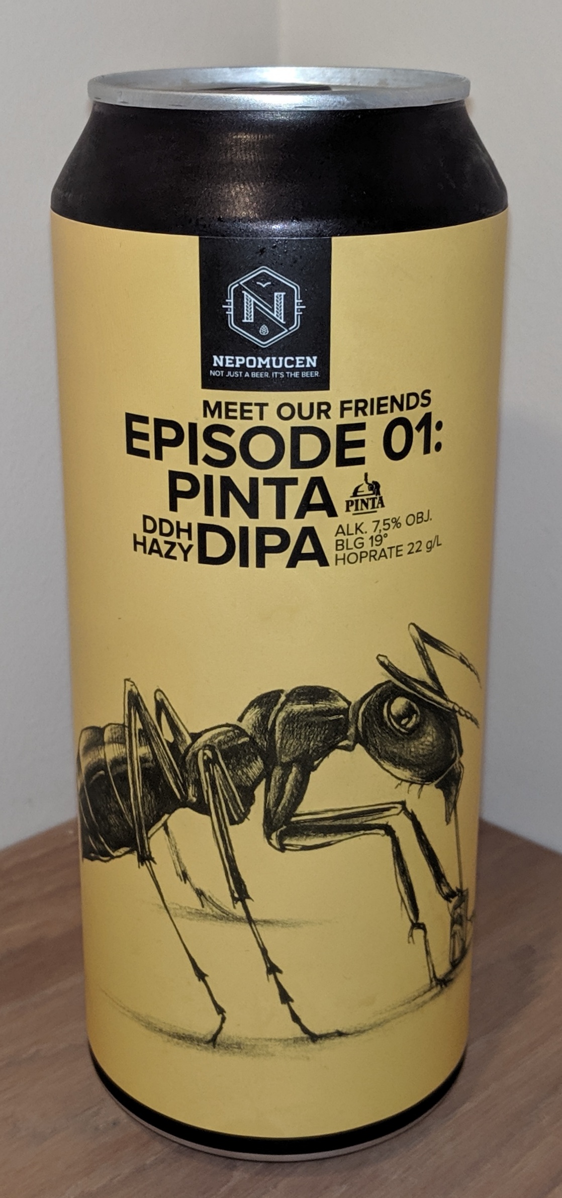 Nepomucen & Pinta: Meet Our Friends Episode 01 Nepomucen & Pinta: Meet Our Friends Episode 01