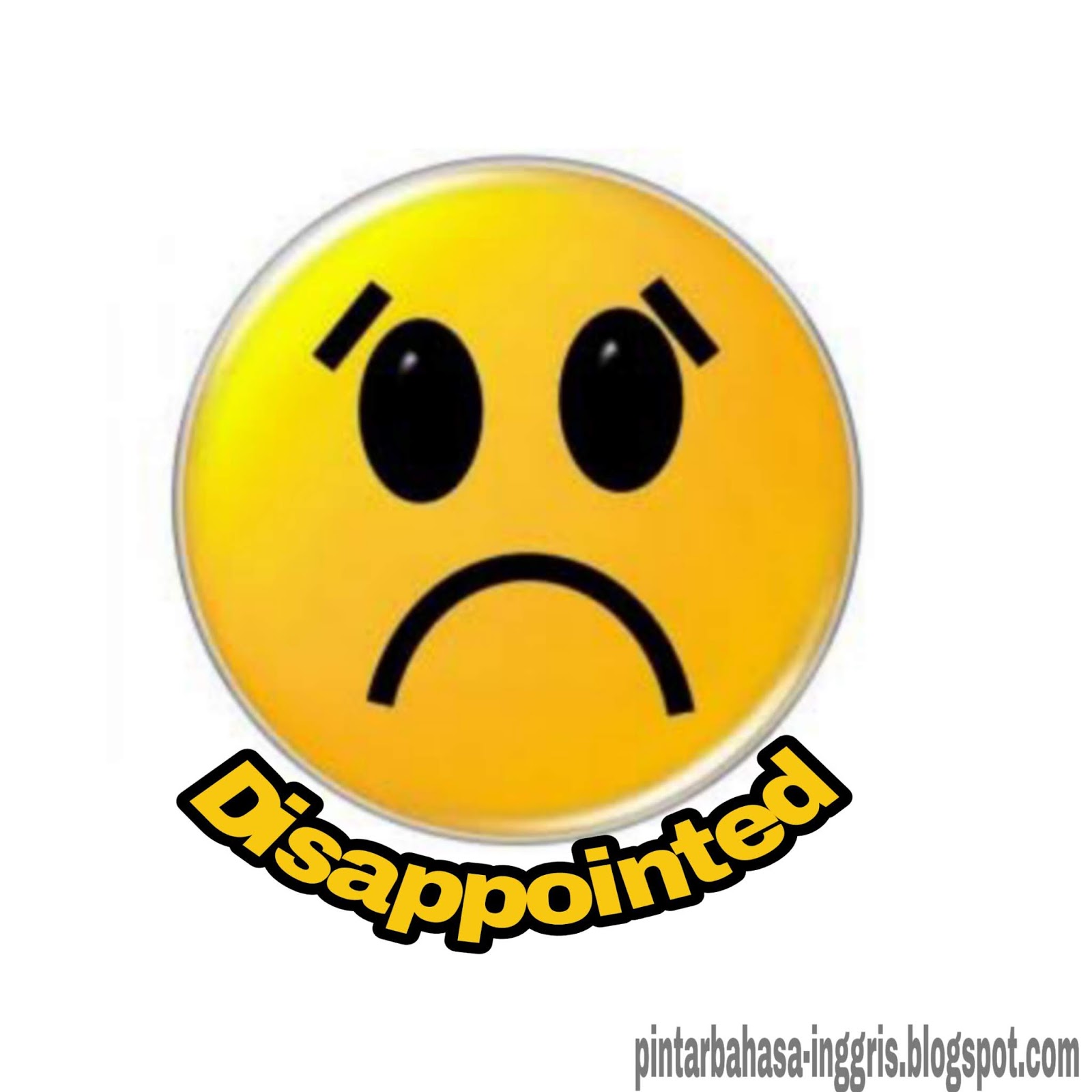 Ungkapan Kecewa Dalam Bahasa Inggris(Expressing Disappointment)