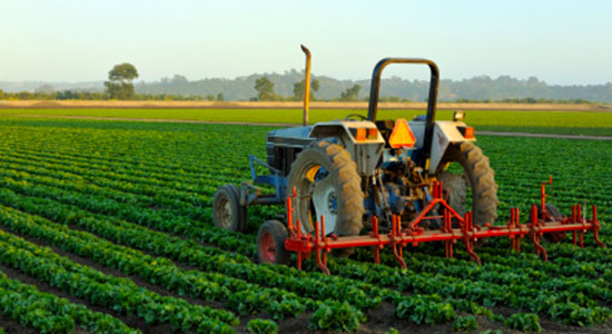 Farming Method: Farming