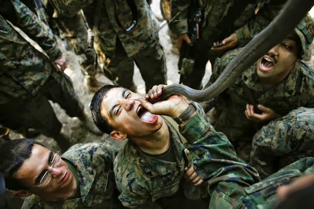 Military Men And Women Drinking Snake Blood Multi-national Military ...