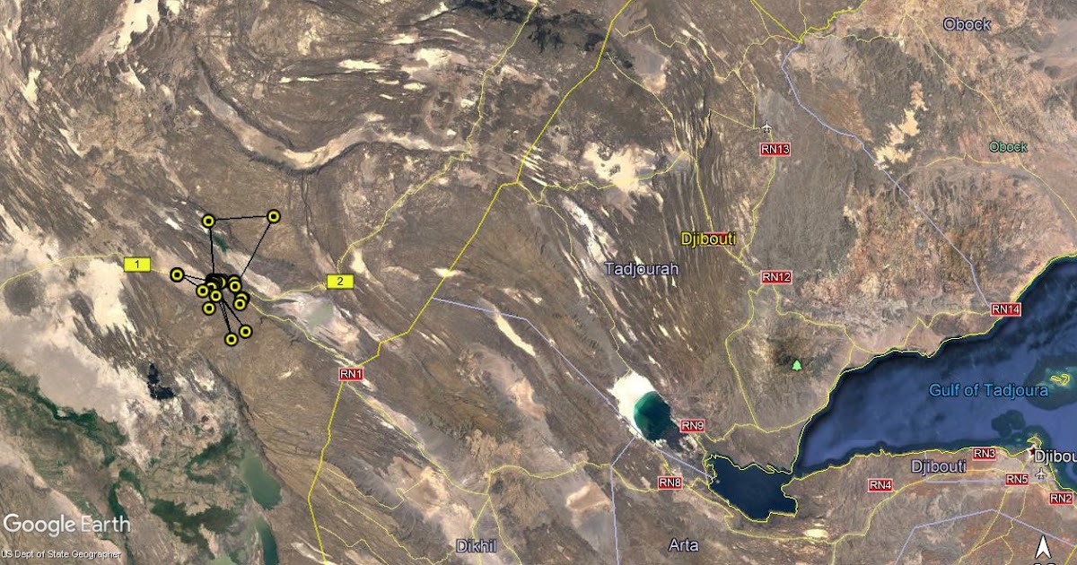 Egyptian vultures in Djibouti: More about Mabla (216)