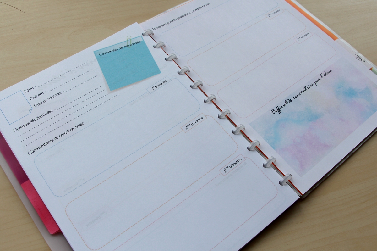 Zoom sur mon journal de bord de l'enseignant 2019-2020 ~ Petits ...