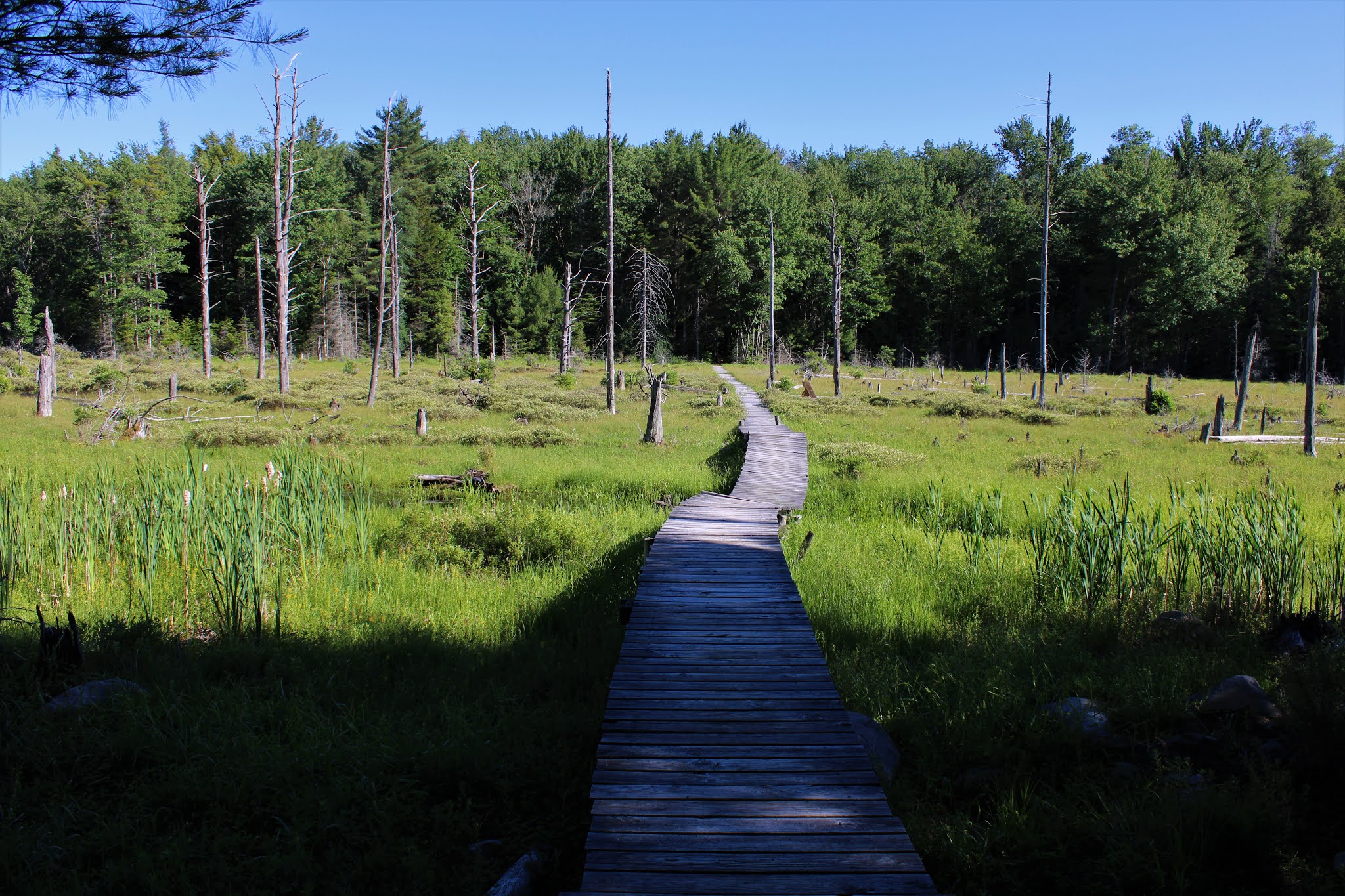 Walking Man 24 7: Dyken Pond Environmental Education Center(Grafton ...