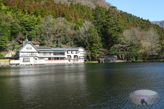 Japan 2019: Yufuin Floral Village and Kinrin Lake, Yufuin, Northern ...