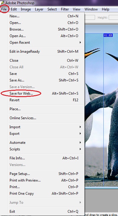 Online Classes for Photoshop: 14. Slice and Slice selection tools