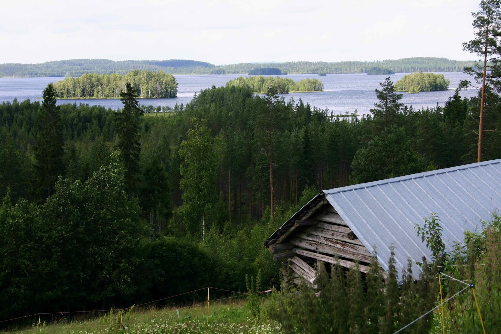 Mataleena: Koitere minun kotini II