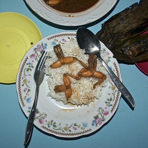 Javaholic: Swike Kuah--Silence of the Frogs