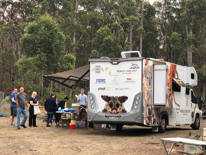 Our Sydney Wildlife Rescue Unit - 1 year after the devastating bushfires