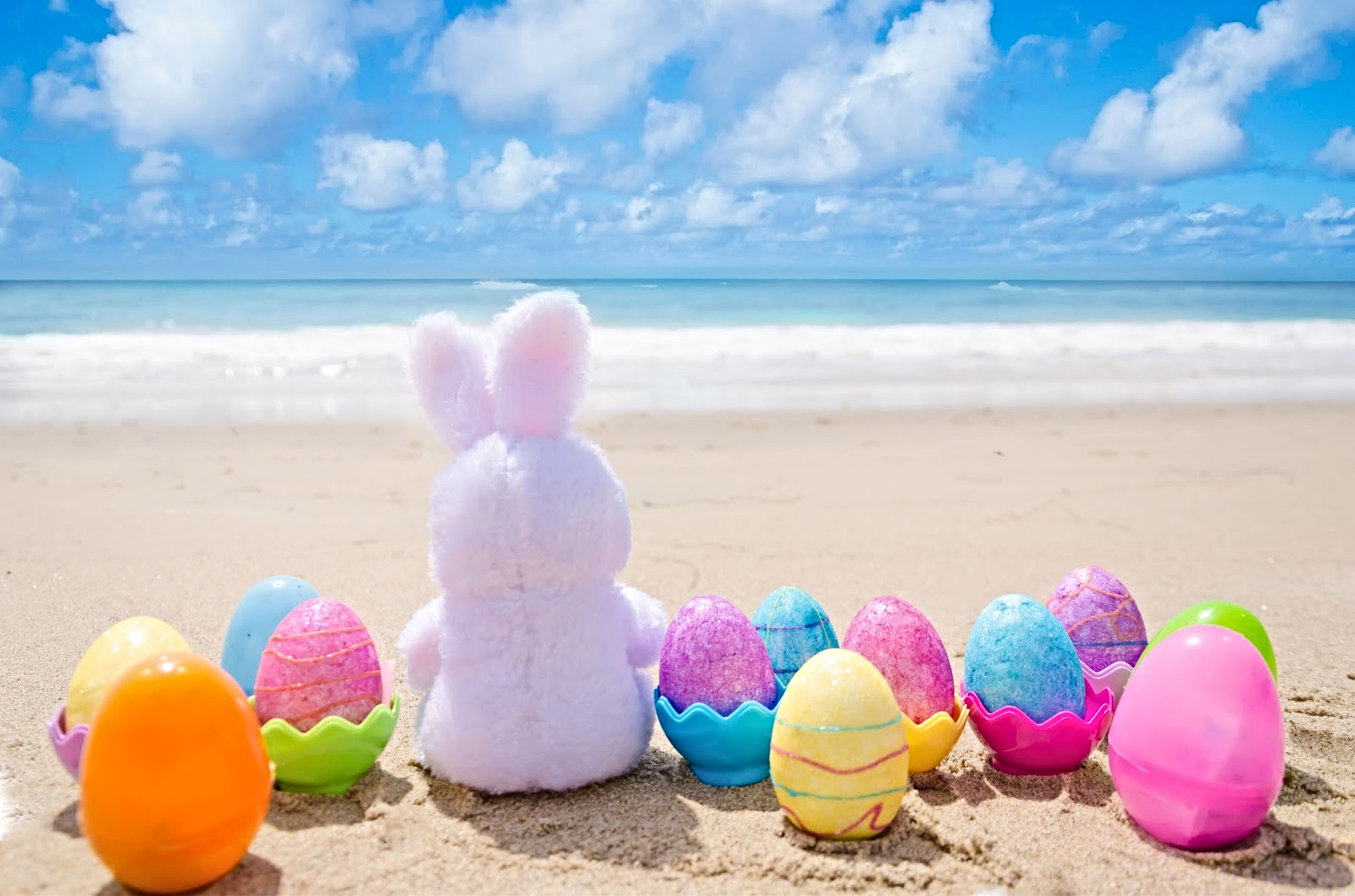 Life on Delmarva: Easter Greetings from the Seashore | Coastal ...
