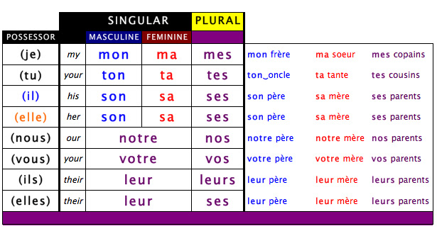 ISM Français 1: Fr 1.2 pp 47-49 Les pronoms possessifs