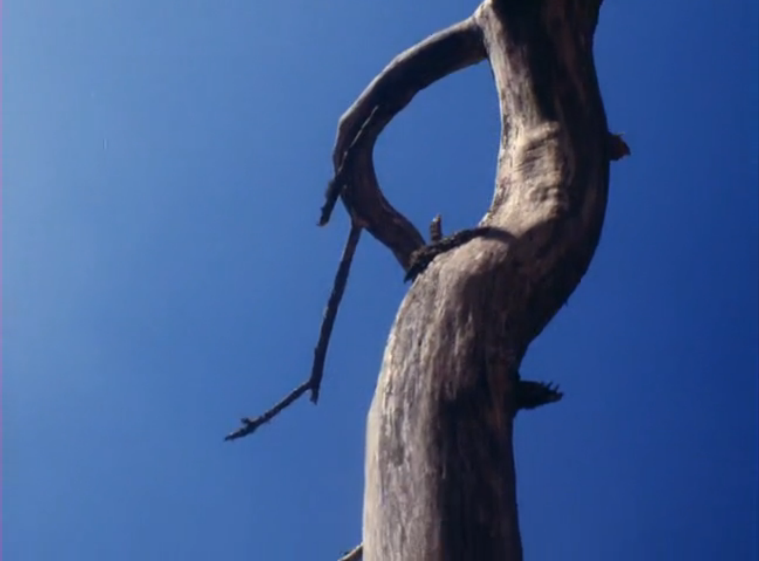 Tobe Hooper Appreciation Society: THAS: Scene from Salem's Lot #3 / The ...