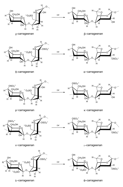 Belajar Mengenal Karagenan