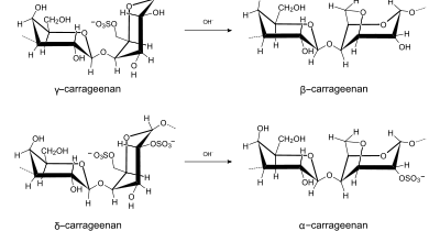 Belajar Mengenal Karagenan