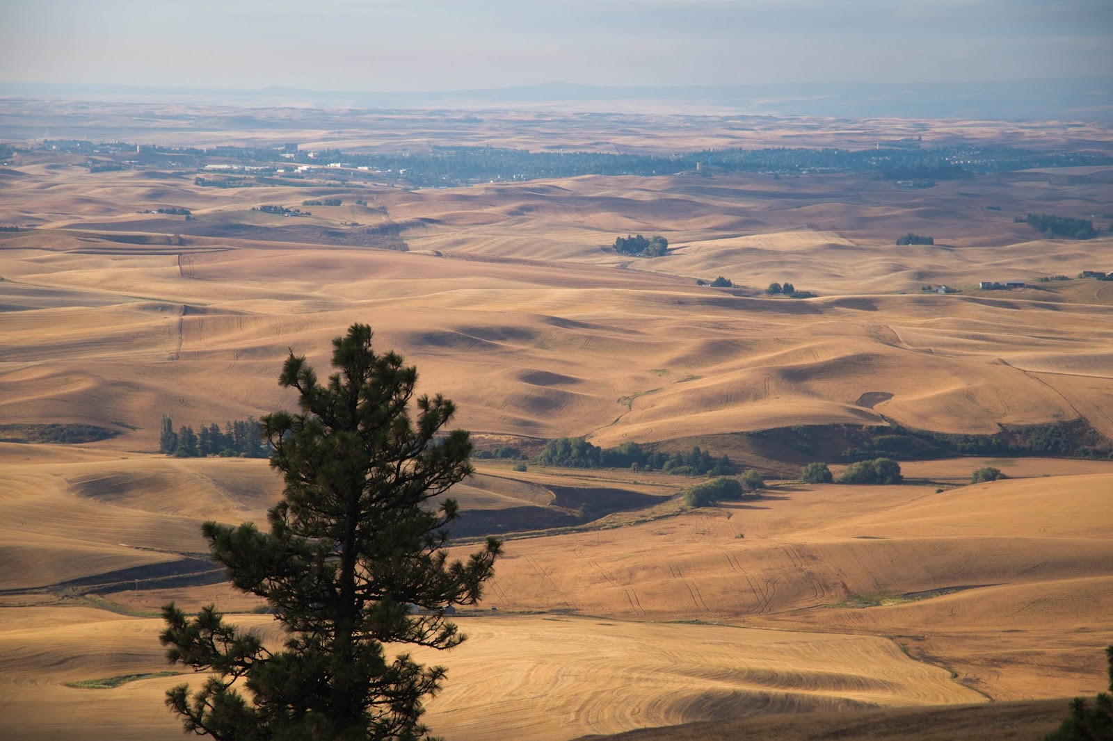 Hiking Shenandoah: Kamiak Butte